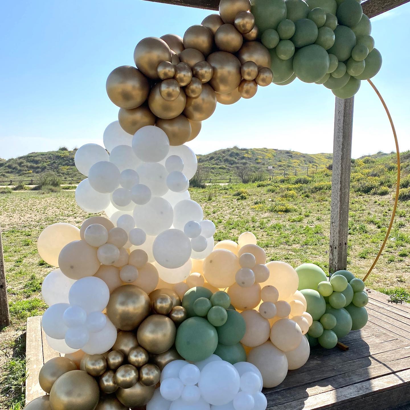 GENDER REVEAL PARTY ¡Cómo triunfa esta nueva tendencia! | eLeyCe ...